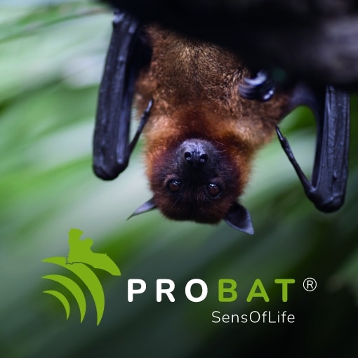 Curtailment simulation | Sens Of Life